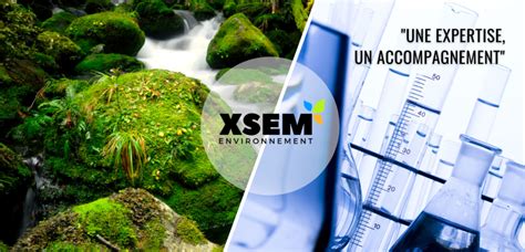 Xsem Bureau Detudes Environnement And Dépollution