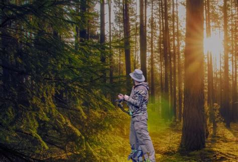 How To Choose Arrows For A Compound Bow A Comprehensive Guide