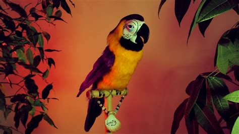 Spent Months Building My Own Tiki Parrot Animatronic Out Of Bits Of