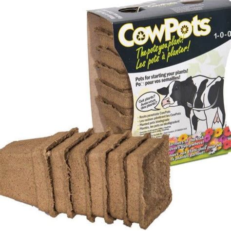 Cow Pots Square 4 Cleary Feed And Seed