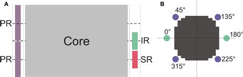 Schematic View Of Ex Core Detector Locations Source Range Sr