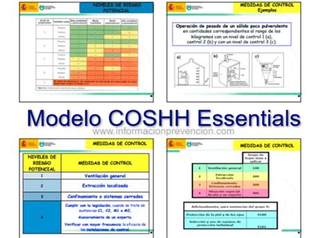 Modelo Coshh Essentials