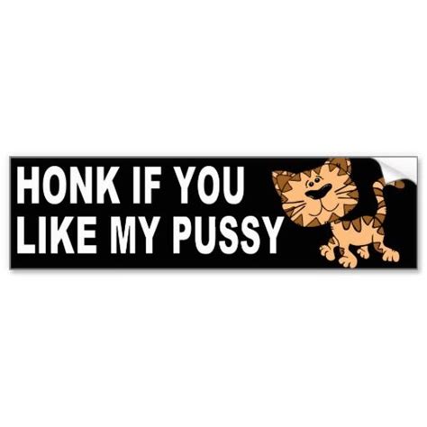 Funny Cat Bumper Sticker Cat Bumper Stickers Bumper