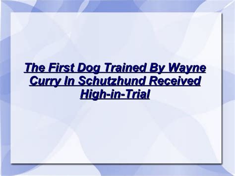 Wayne Curry Ppt