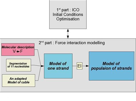 The Proposed Modelling Scheme Download Scientific Diagram