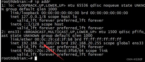Debian 10 配置网卡，dns，ip地址 Csdn博客