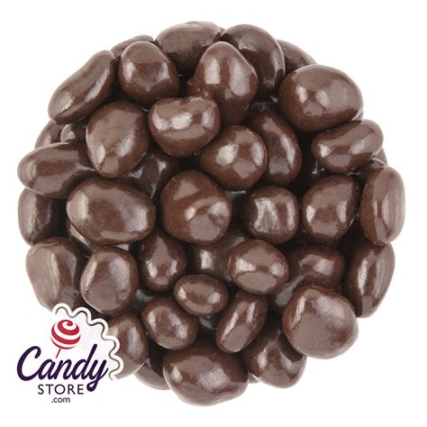 Belgian Dark Chocolate Raisins 10lb Bulk