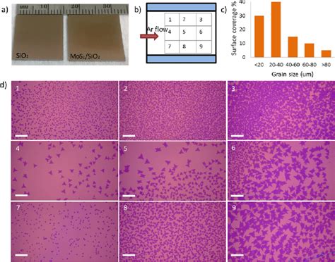 Growth Results A Contrast Between Bare Sisio 2 Substrate And Download Scientific Diagram
