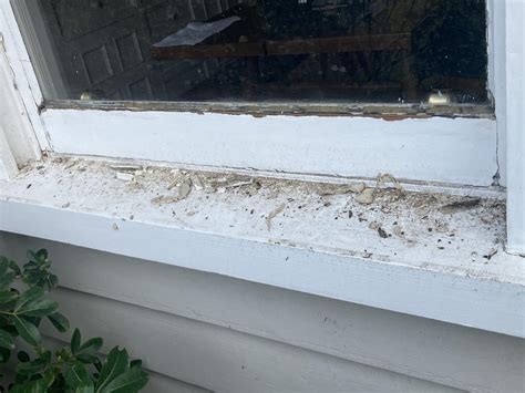 Beading On Window Frame Rausrenovation