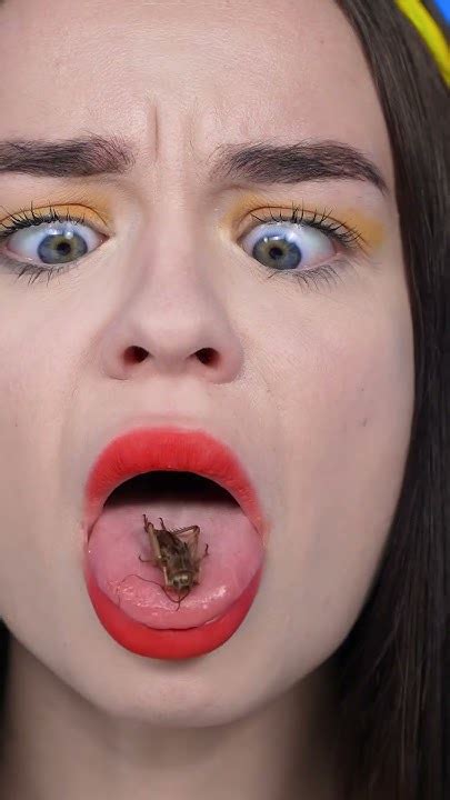 Châu Chấu Trong Miệng Youtube