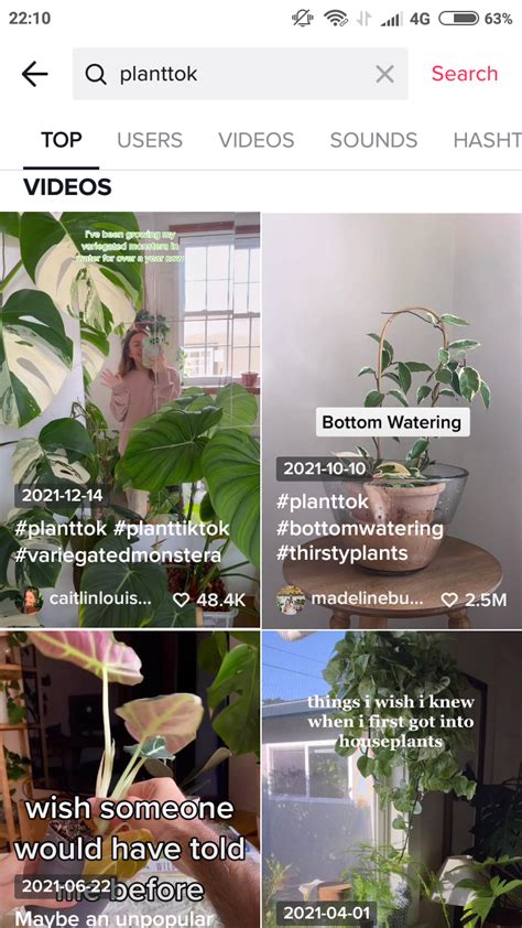 How To Grow Followers On TikTok Best Practices And Tools