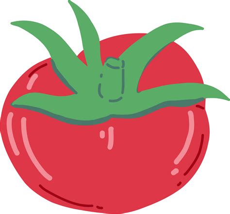 Doodle Freehand Sketch Drawing Of Tomato Vegetable 11357928 PNG