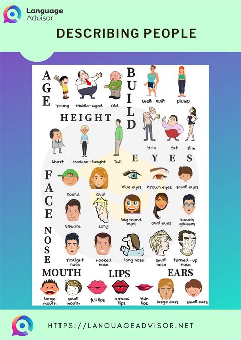 Describing People Worksheet English Vocabulary Exercises English Hot