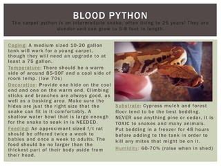 Reptile Care Sheet Pptx