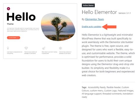 how to enable auto updates on wordpress a step by step guide dcp