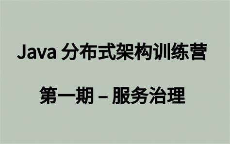 小马哥 Java 分布式架构训练营第一期 服务治理 完结无密 Code Master