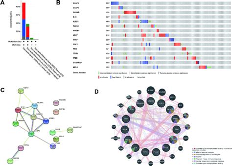 The Mutation And Function Of Pyroptosis Related Degs A And B The