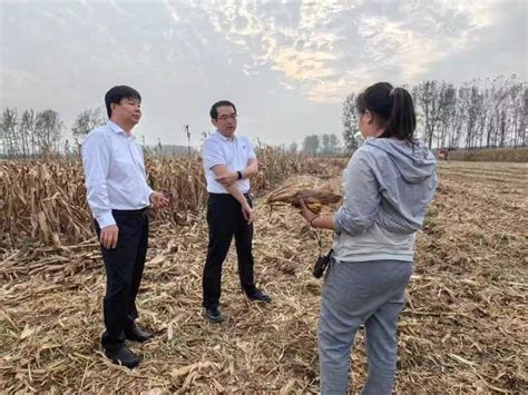 孙巍峰在信阳、驻马店察看秋收工作时强调 抢字当头 全力以赴 确保丰收到手颗粒归仓部门河南省人民政府门户网站