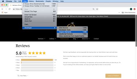 View Schema Added To Web Page From Widgets Or Review Badge Rocketreviews