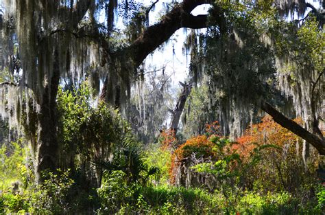 Southern Scenes 2 By Wolfisland On Deviantart