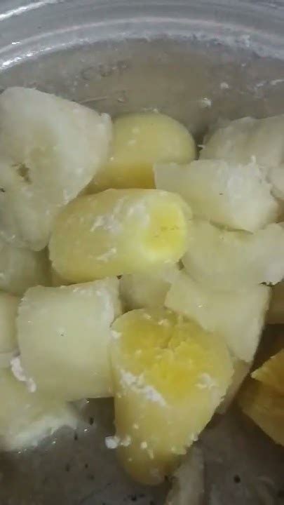 Balinghoy Shortvideoyummy Youtube