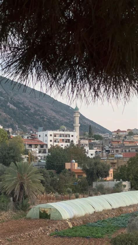 Noah Abboud Noahaboud • Instagram Photos And Videos