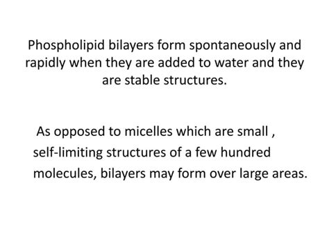 Polymorphic Structures Of Amphiphilic Molecules In Aqueous Solution