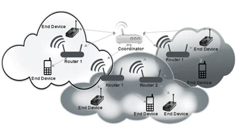 A Guide To Tree Topology Definition Practices And Importance
