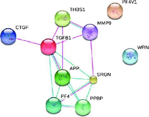 String Network Proteins With Known Interactions Pink Lines Represent