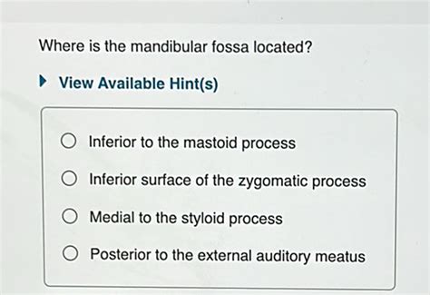 Where Is The Mandibular Fossa Located View Available Hint S Inferior To The Mastoid Process