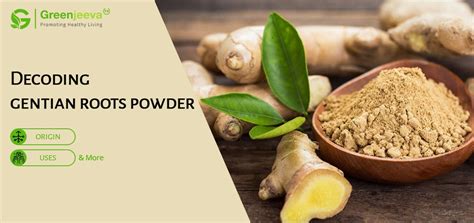Everything You Need To Know About Organic Fruit Powder By Green Jeeva