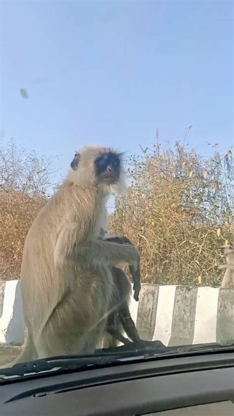 Sapna Sappu वक्त के साथ बदलने का तो पता नहीं पर संभलना शायद ज्यादा