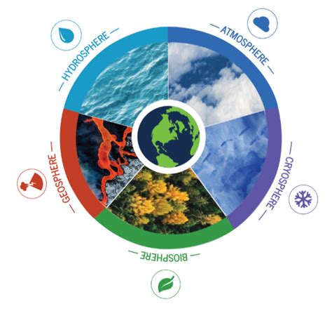Grade 5 Science Revision 5th Grade Quiz Wayground Formerly Quizizz