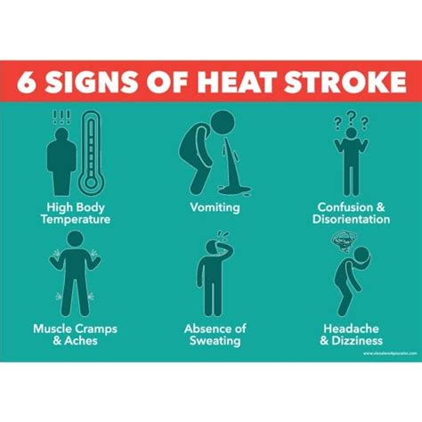 Know The Warning Signs Of Heat Stroke My Xxx Hot Girl