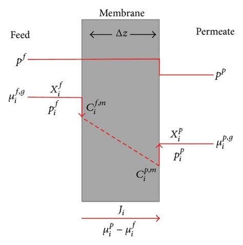 A Schematic Representation Of The Solution Diffusion Process Of A