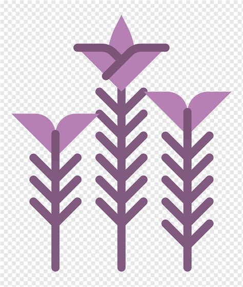 Abstract Flower Png Pngwing