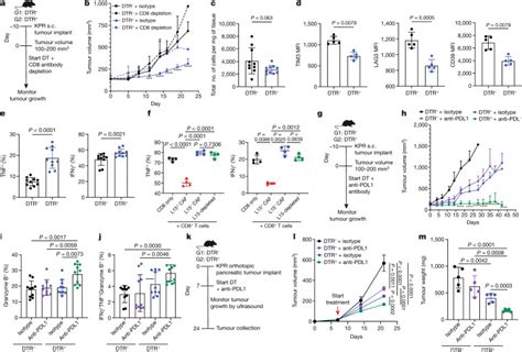 Lrrc15 Myofibroblasts Dictate The Stromal Setpoint To Suppress Tumour