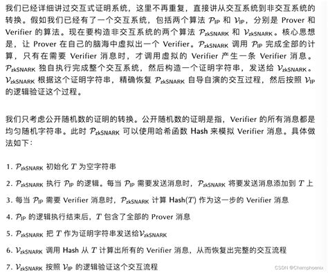 Zk Starkzk Snark中ip，pcp，ipcp，iop，piop，lip，lpcp模型介绍 Csdn博客