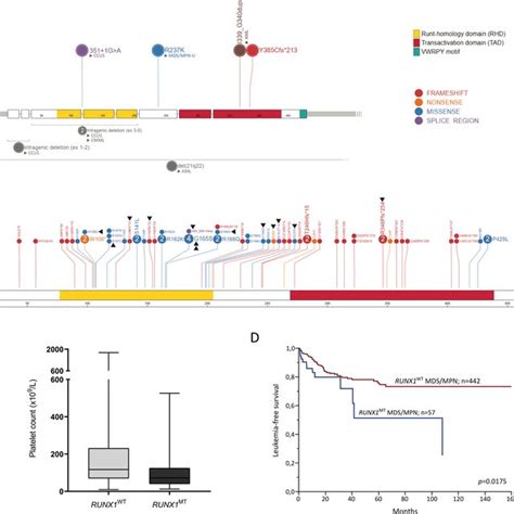 Clinical And Mutational Characteristics Of Patients With Germline And