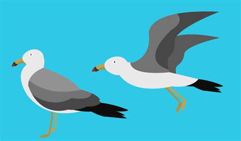 갈매기 일러스트 Png Ai 무료 다운로드 2023년 리틀딥