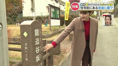 海に浮かぶ神社に龍が迫る坂辰年だからこそ昇り龍のように運気アップしたい人は必見後生川アナが行く龍にまつわるスポット調査