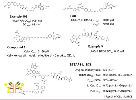 Figure 1 From E3 Ligase Ligands For Protacs How They Were Found And How To Discover New Ones
