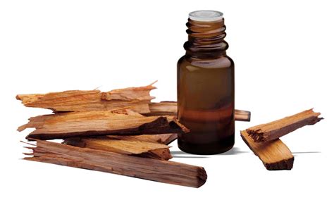 Sandalwood Oil Santalum Album Sandalwood Oil Cosmacon