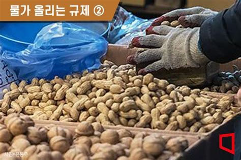 물가 올리는 규제 ②땅콩과자 차라리 중국서 만드는 게 낫겠어요 아시아경제