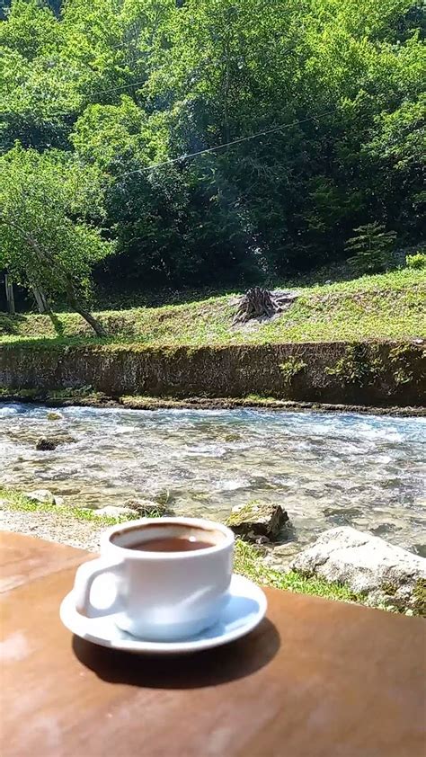 Амазонка в рабочем режиме пьёт кофе Youtube