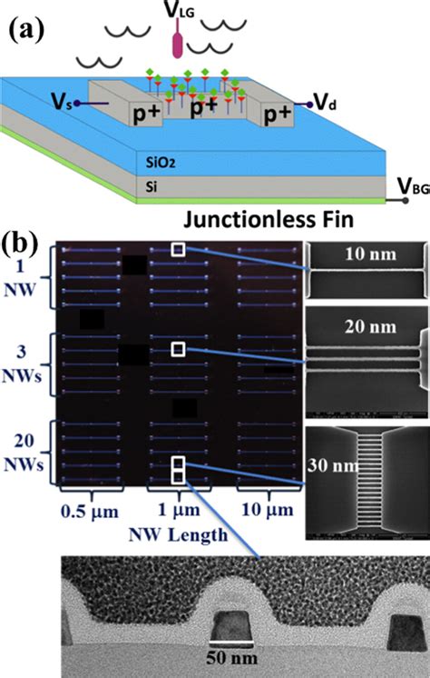 Junctionless Nanowire Transistors Jnts As Chemo Biosensors A Download Scientific Diagram