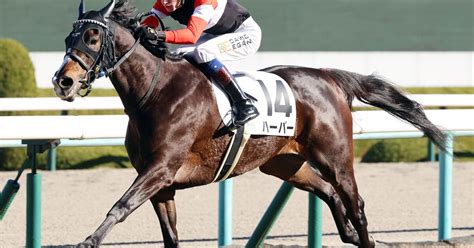 今週の重賞レース無料予想【 クイーンカップg3】2023 当たると話題の競馬予想！