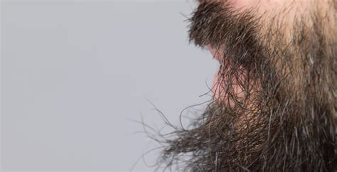 4 Quick Ways To Soften A Razor Sharp Beard