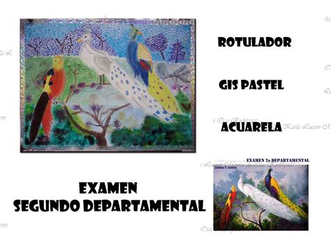 Técnicas De Representación Gráfica