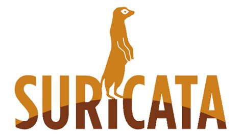 Détection Dintrusion Ids Avec Suricata Sur Raspberry Pi Framboise